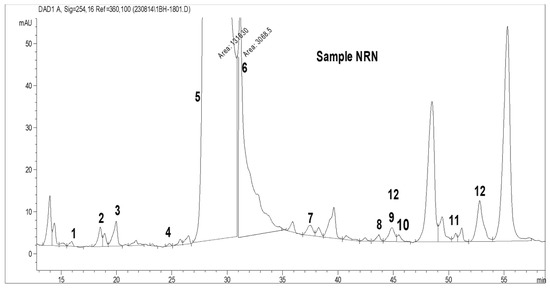 Isolation, Molecular Identification and Amino Acid Profiling of Single ...
