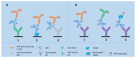 Current Analytical Strategies for Antibody–Drug Conjugates in Biomatrices