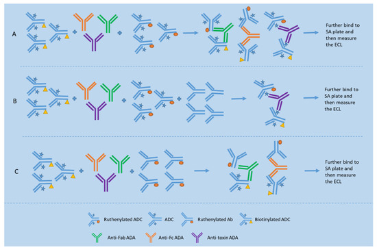 Current Analytical Strategies for Antibody–Drug Conjugates in Biomatrices