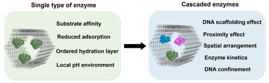 Mechanistic Aspects for the Modulation of Enzyme Reactions on the DNA ...