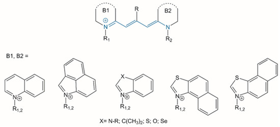 Photonics of Trimethine Cyanine Dyes as Probes for Biomolecules