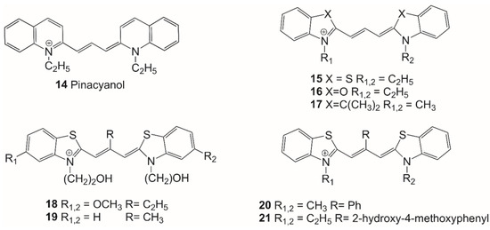 Photonics of Trimethine Cyanine Dyes as Probes for Biomolecules