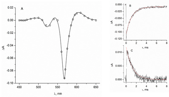 Photonics of Trimethine Cyanine Dyes as Probes for Biomolecules