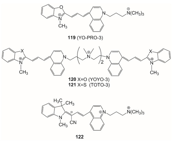 Photonics of Trimethine Cyanine Dyes as Probes for Biomolecules
