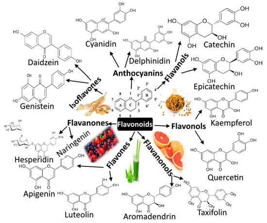 In Silico Evaluation of Natural Flavonoids as a Potential Inhibitor of ...