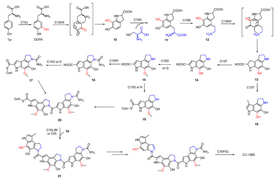 Biosynthesis of DNA-Alkylating Antitumor Natural Products