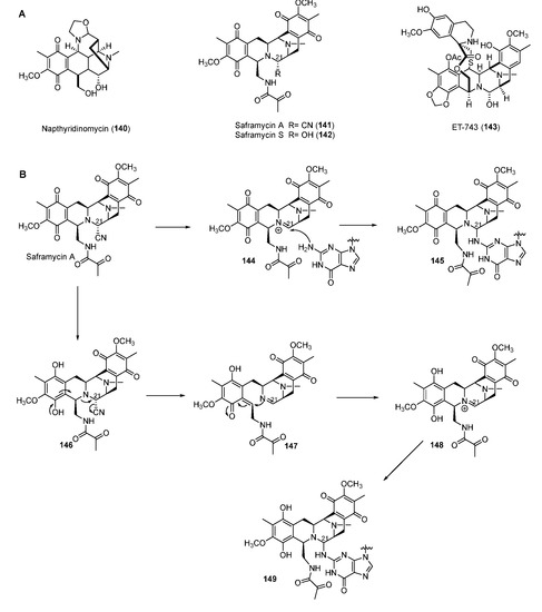 Biosynthesis of DNA-Alkylating Antitumor Natural Products