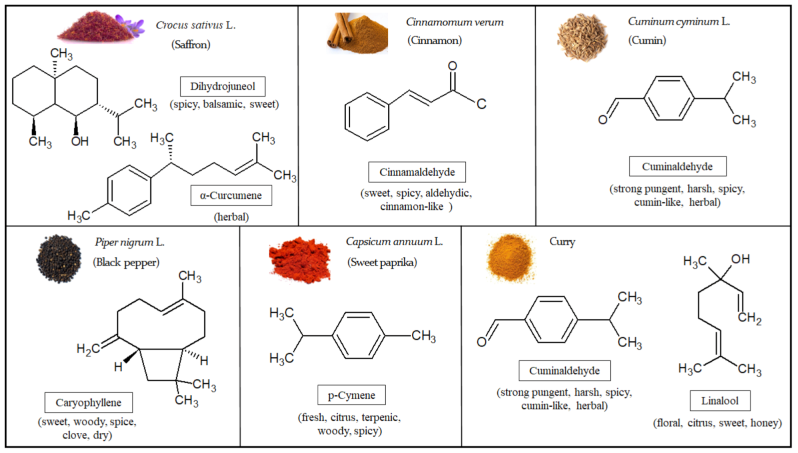 Spices Volatilomic Fingerprinting—A Comprehensive Approach to Explore ...