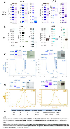 Recombinant Thaumatin-Like Protein (rTLP) and Chitinase (rCHI) from ...