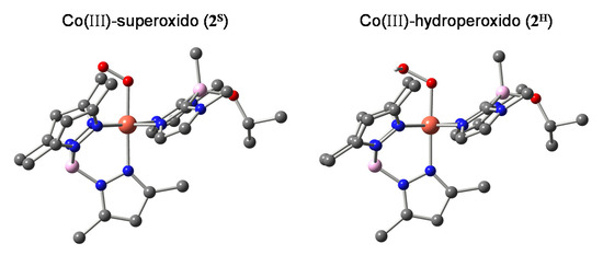 The Conversion of Superoxide to Hydroperoxide on Cobalt(III) Depends on ...