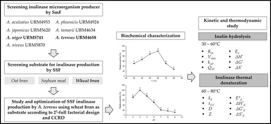 Molecules Free Full Text Production Biochemical Characterization