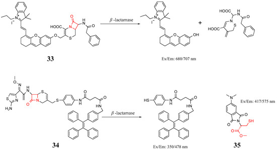 Recent Progress in Identifying Bacteria with Fluorescent Probes