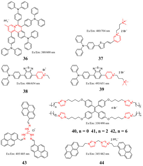 Recent Progress in Identifying Bacteria with Fluorescent Probes