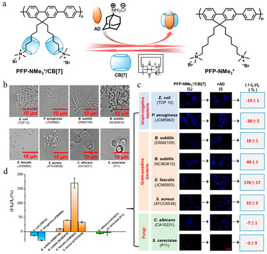 Recent Progress in Identifying Bacteria with Fluorescent Probes