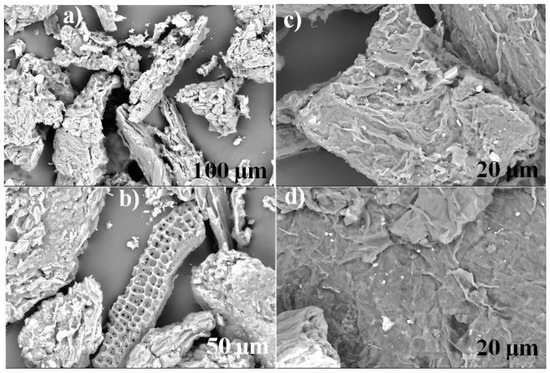 Removal of Anionic and Cationic Dyes Present in Solution Using Biomass ...