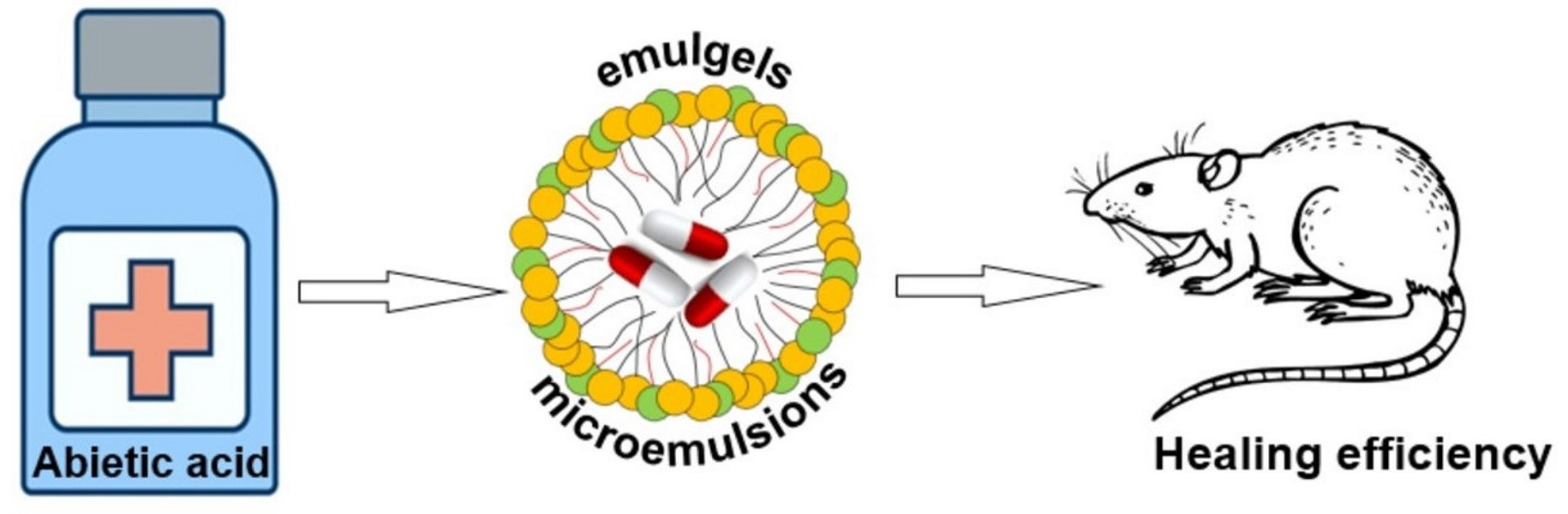 Molecules | Free Full-Text | Supramolecular Tools to Improve Wound ...