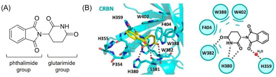 Discovery of E3 Ligase Ligands for Target Protein Degradation