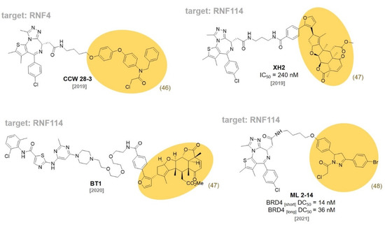 Discovery of E3 Ligase Ligands for Target Protein Degradation