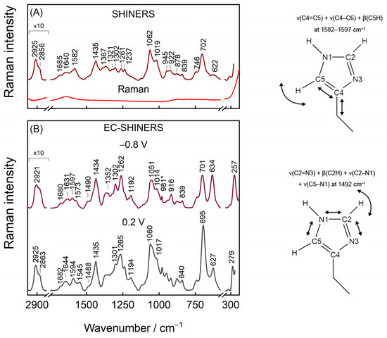Molecules | Free Full-Text | Electrochemical Shell-Isolated ...