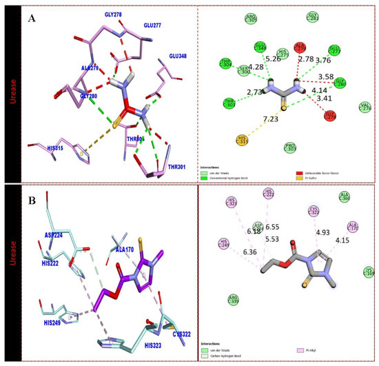 New Triazinoindole Bearing Benzimidazole/Benzoxazole Hybrids Analogs as ...