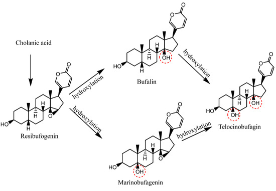 Chemistry and the Potential Antiviral, Anticancer, and Anti ...