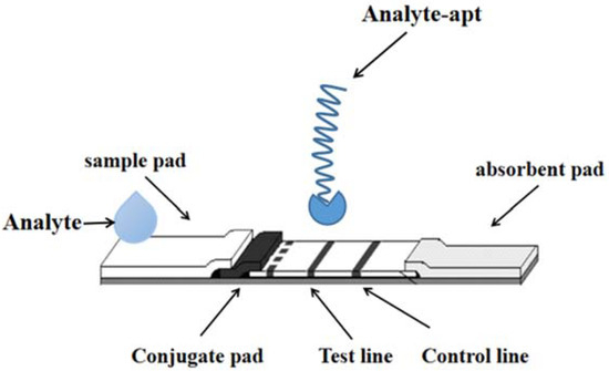 New Advances in Lateral Flow Immunoassay (LFI) Technology for Food ...
