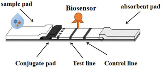 New Advances in Lateral Flow Immunoassay (LFI) Technology for Food ...