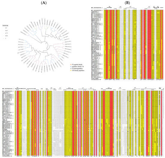 Preparation and Characterization of an Ancient Aminopeptidase Obtained ...