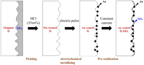 Au-TiO2/Ti Hybrid Coating as a Liquid and Gas Diffusion Layer with ...
