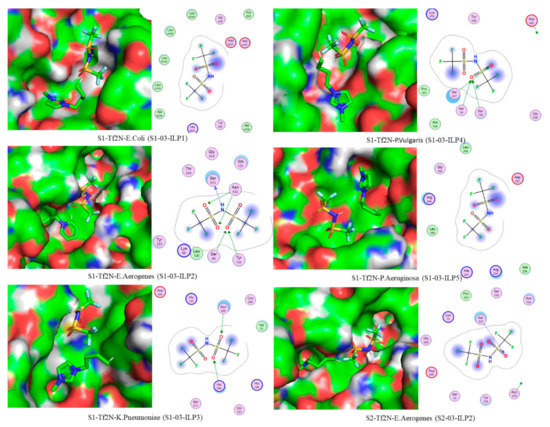 Synthesis, Characterization, Biological Evaluation, and In Silico ...