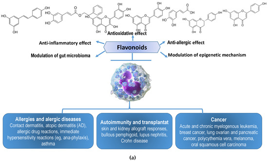 Allergic Inflammation: Effect of Propolis and Its Flavonoids
