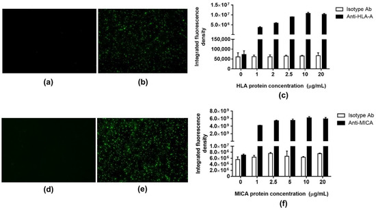 Biosensors Based on Ion-Sensitive Field-Effect Transistors for HLA and ...