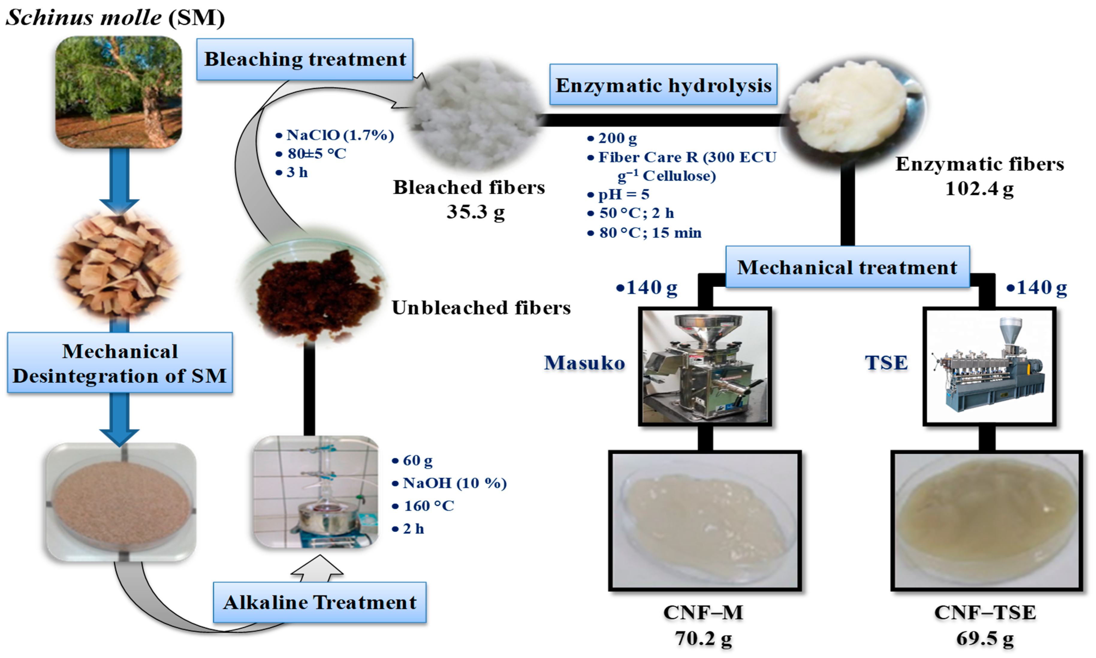 Cellulose Nanofibers From Schinus Molle Preparation And Characterization