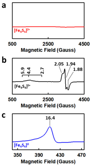 Nitrogenase Fe Protein: A Multi-Tasking Player in Substrate Reduction ...