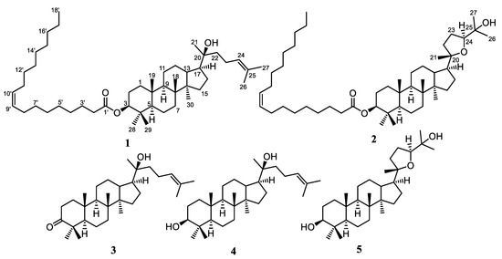 Dammarane-Type Triterpenoid from the Stem Bark of Aglaia elliptica ...