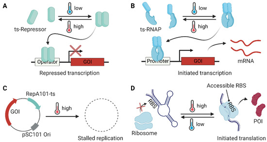 Recent Synthetic Biology Approaches for Temperature- and Light ...