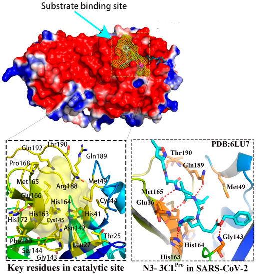 Elucidation of Binding Features and Dissociation Pathways of Inhibitors ...