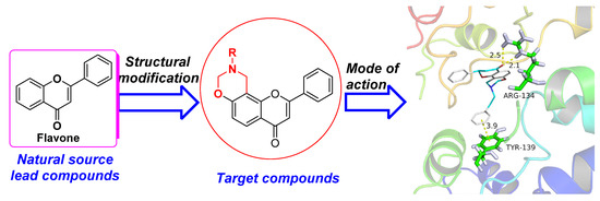 Synthesis and Biological Activity of Novel Oxazinyl Flavonoids as ...