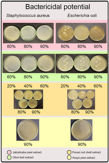 Brazilian Agroindustrial Wastes as a Potential Resource of Bioative ...