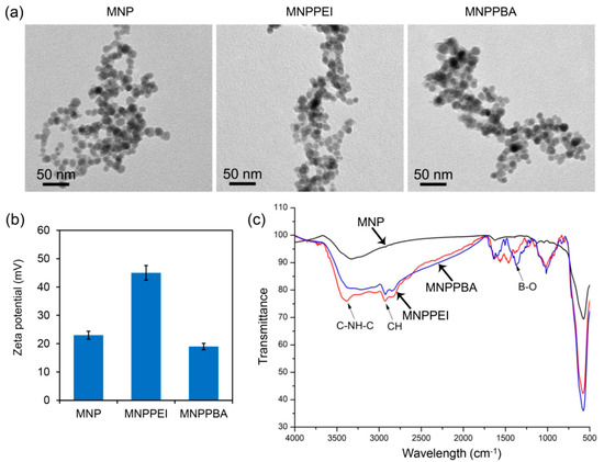Synthesis of Phenylboronic Acid-Functionalized Magnetic Nanoparticles ...