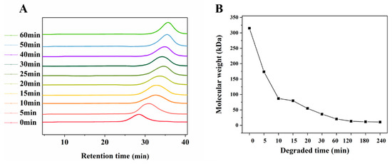 Influence of Molecular Weight of Polysaccharides from Laminaria ...