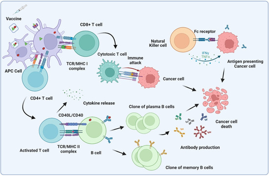 Chemical and Synthetic Biology Approaches for Cancer Vaccine Development