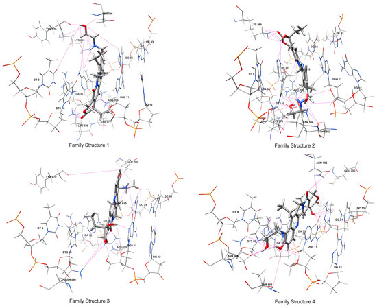 Insight on the Interaction between the Camptothecin Derivative and DNA Oligomer Mimicking the ...