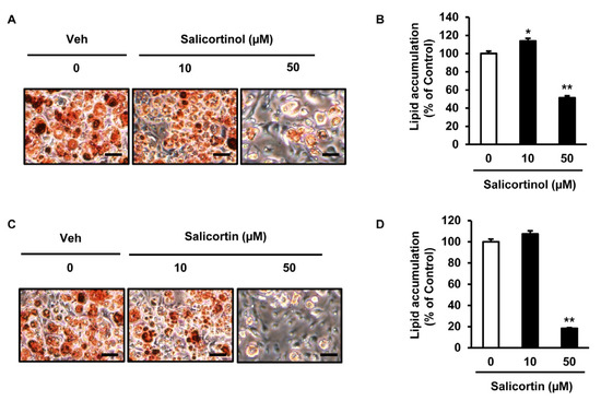 Anti-Adipogenic Effects of Salicortin from the Twigs of Weeping Willow ...