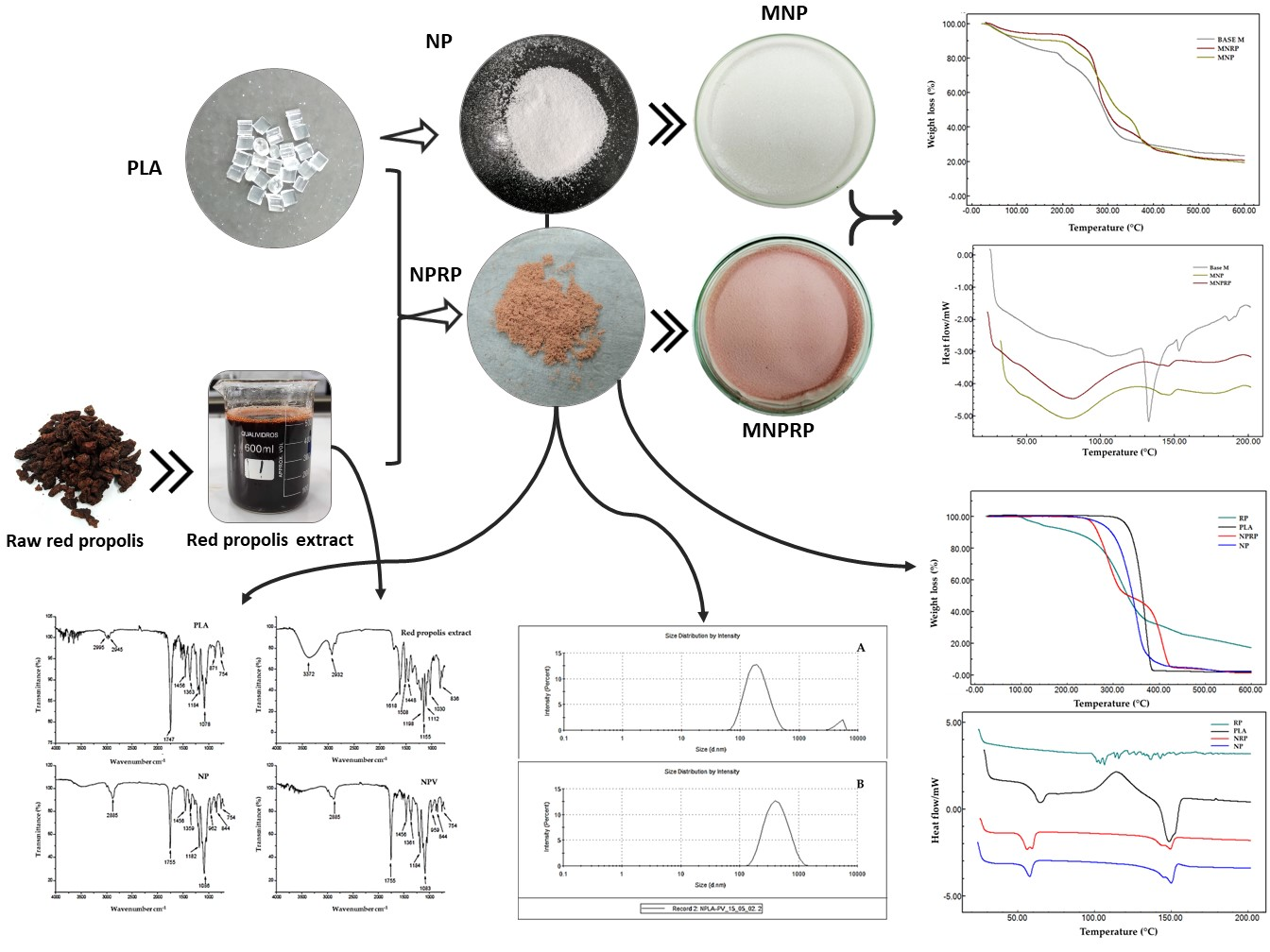Molecules | Free Full-Text | Development of a Polymeric Membrane ...