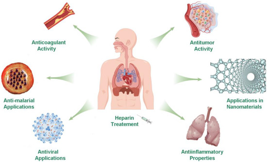 Not Just Anticoagulation—New and Old Applications of Heparin
