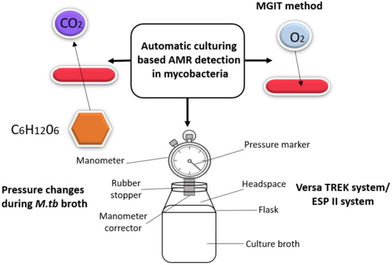 Tools to Alleviate the Drug Resistance in Mycobacterium tuberculosis