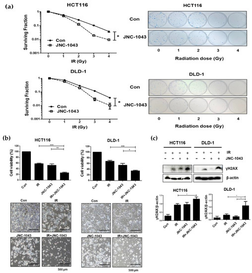 Molecules | Free Full-Text | JNC-1043, a Novel Podophyllotoxin Derivative, Exerts Anticancer ...