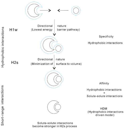 The Hydrophobic Effects: Our Current Understanding