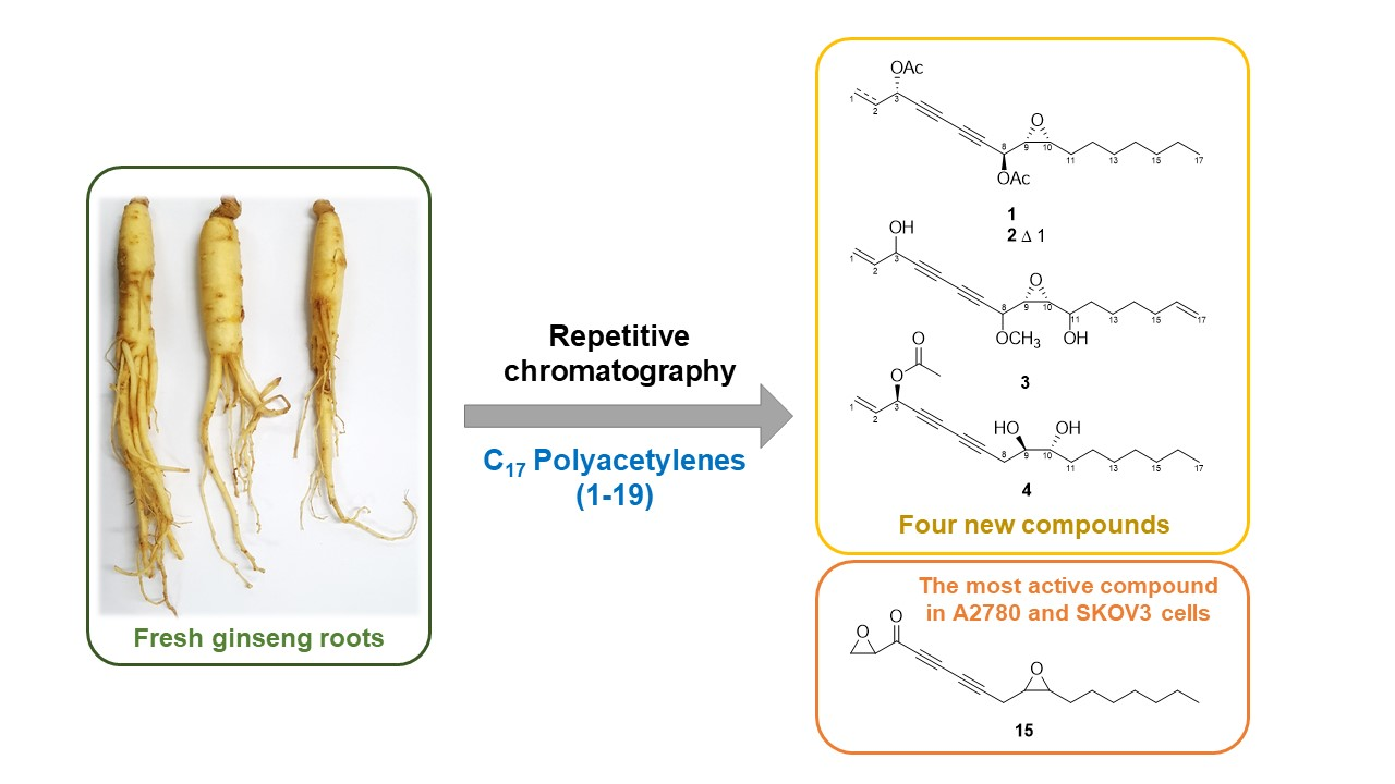 Molecules | Free Full-Text | Cytotoxic Properties of C17 Polyacetylenes ...